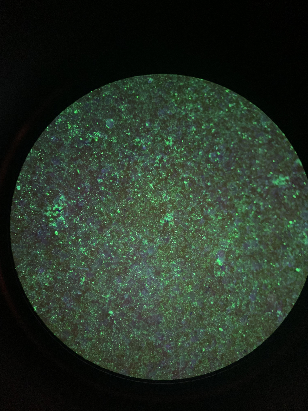 Scientists, artists, students showcase beauty of basic research through ...